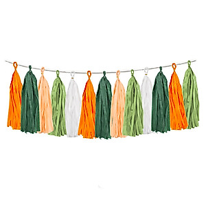 25PCS Little Cutie Baby Shower Decorations Citrus DIY Tissue Tassel Garland Banner Tangerine Clementine Orange Themed Birthday Party Wedding Backdrop Nursery Wall Garden Hanging Décor