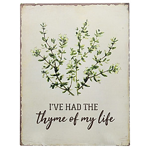 Barnyard Designs I’ve Had The Thyme Of My Life Funny Retro Vintage Tin Bar Sign Country Home Decor 13” x 10”