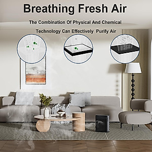 2-Pack P260 True HEPA Replacement Filter Compatible with AIUZLK P260 Air Purifier, 3-in-1 Filtration Filter.