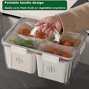 NPXZXC Airtight Fruit Storage Containers with Lids, Fridge Organizer Bins with 4 Removable Baskets, Portable Berry Vegetable Fresh Produce Saver, BPA-Free, Clear