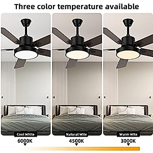 BECLOG Black Outdoor Ceiling Fans, 52" Ceiling Fans with Lights, 6-Speed Reversible DC Motor-Black