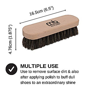 Moneysworth & Best Shoe Shine Brush