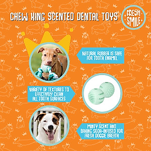 Chew King Dental Dog Toy Collection, Fetch Ball Clinically Proven to Remove Plaque