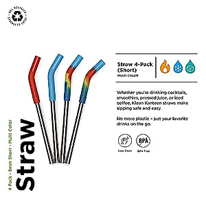 Klean Kanteen Short Multi Color Straws 4 Pack, 1 EA
