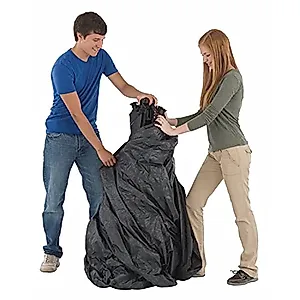 Coleman Camping Tent | 6 Person Cabin Tent with Instant Setup , Brown/Black