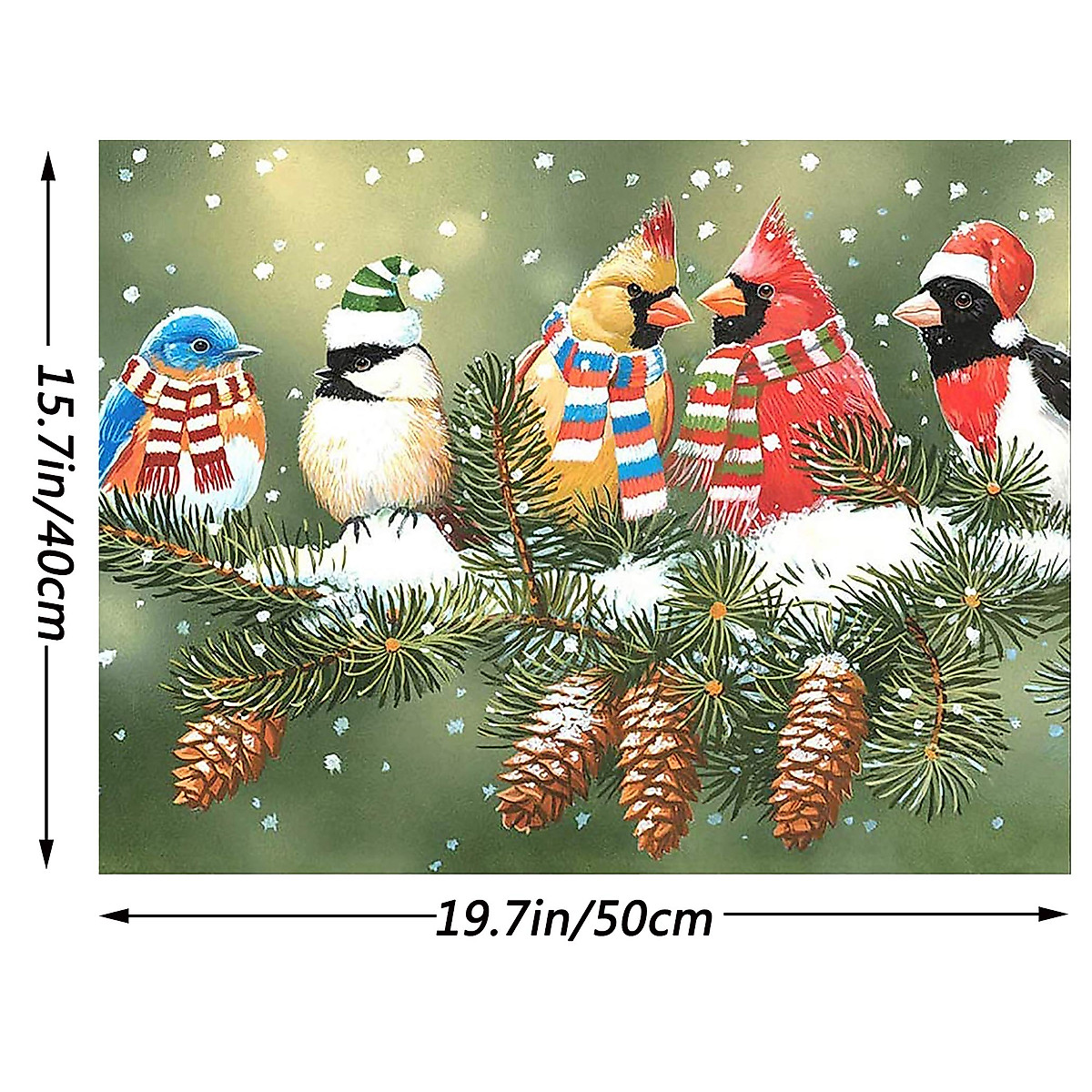 Tenei Paint by Numbers for Adults & Kids Oil Paint DIY Craft Paintings Art Set on Canvas Color by Number Kits Acrylic(Birds)