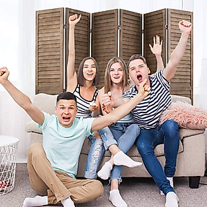 Room Dividers and Folding Privacy Screens, 6 Panel 69 inch Tall Portable Room Seperating Divider, Handwork Solid Wood Room Divider Wall, Room Partitions and Dividers Freestanding for Home Office