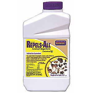Bonide ANIMAL REPELS ALL QT CON