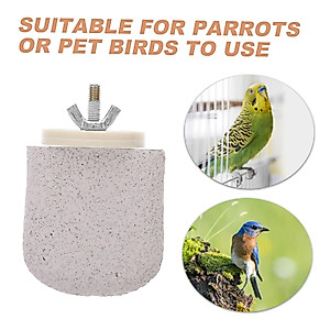 CORHAD 2pcs Parrot Standing Pole Parrot Perch Cockatiel Toys Parakeet Perches for Cage Bird Cage Toys Perches for Bird Cages Parrot Cage Supply Bird Perches Bird Toy Light Grey Pumice