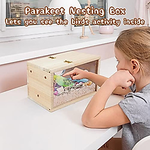 GINDOOR Parakeet Nesting Box Transparent Bird House for Cage Natural Wood Breeding Box for Parrot Parakeet Cockatiel Lovebirds Budgie Conure and Other Small Birds
