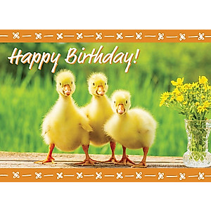 HTL Card-Boxed-Childrens Birthday-Fuzzy Friends (Box of 12)