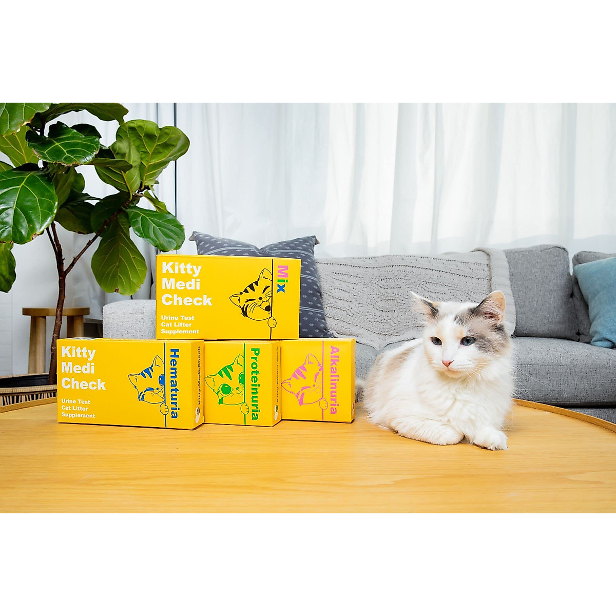 PETJOA Kitty-Medi-Check Cat Urine Health Test Kit, Easy Monitoring at Home,100% Eco-Friendly - Mix 3 Combo Pack (Alkalinuria, Proteinuria, Hematuria)-210g/7.4oz 100% Biodegradable.