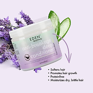 EDEN BodyWorks Lavender Aloe Anti-Breakage Deep Conditioner (16 oz) - Hair Treatment to Strengthen & Enhance Hair Elasticity