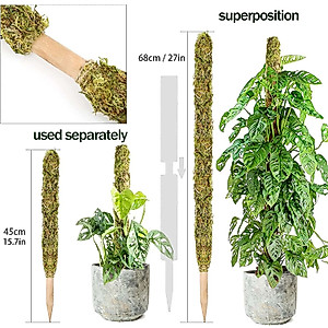 Moss Pole,Moss Pole for Plants Monstera,2 Pack Extending to 27inch Natural Forest Moss Poles for Climbing Plants,Plant Poles for Potted Plants Indoor,Moss Stick Used Separately or Joined Together.