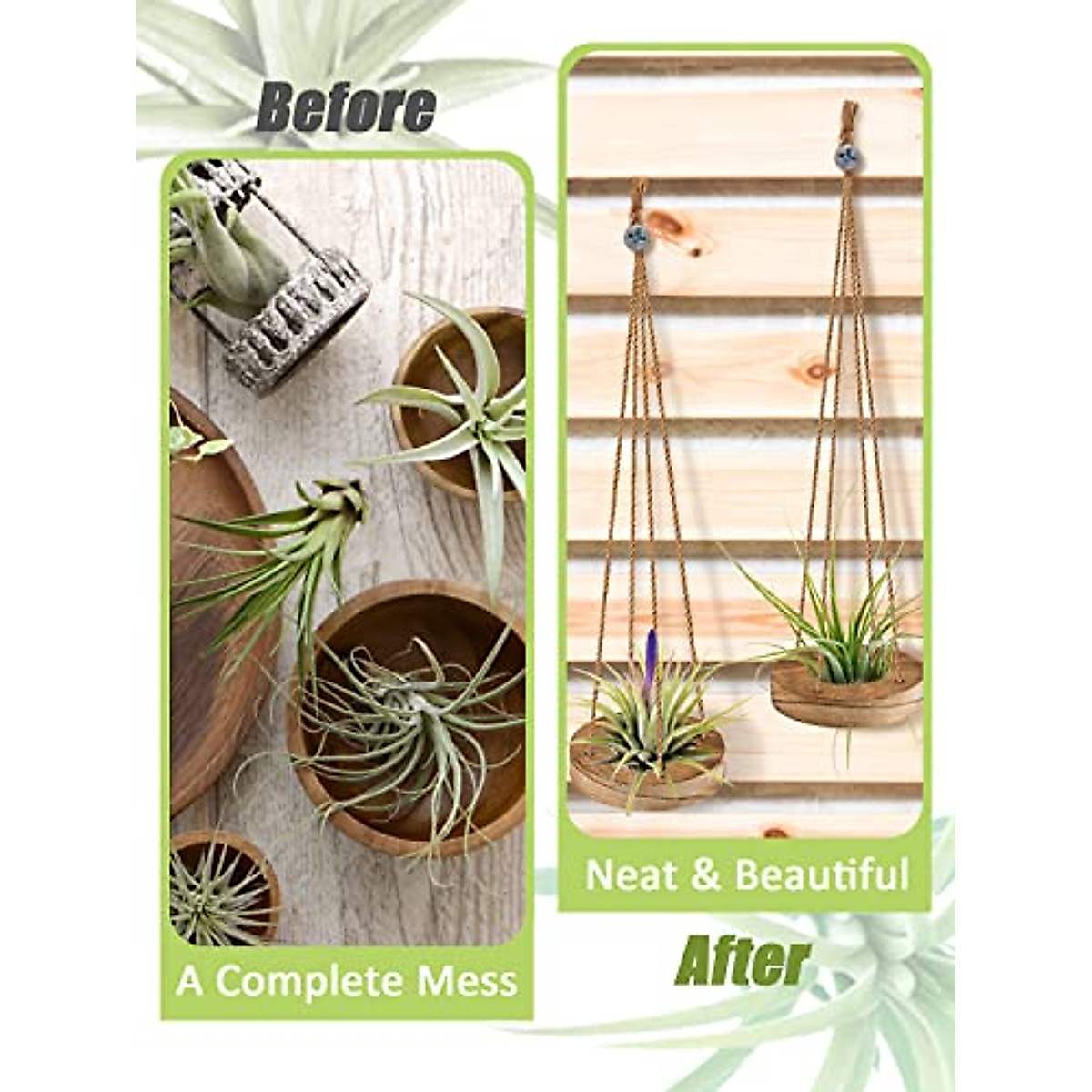 6 Pcs Hanging Wooden Air Plant Holder - 3" Round Wooden Air Plant Hanger with Jute Ropes, Rustic Air Plant Stand Tillandsia Succulent Display Container for Home Office Decor (Plants Not Included)