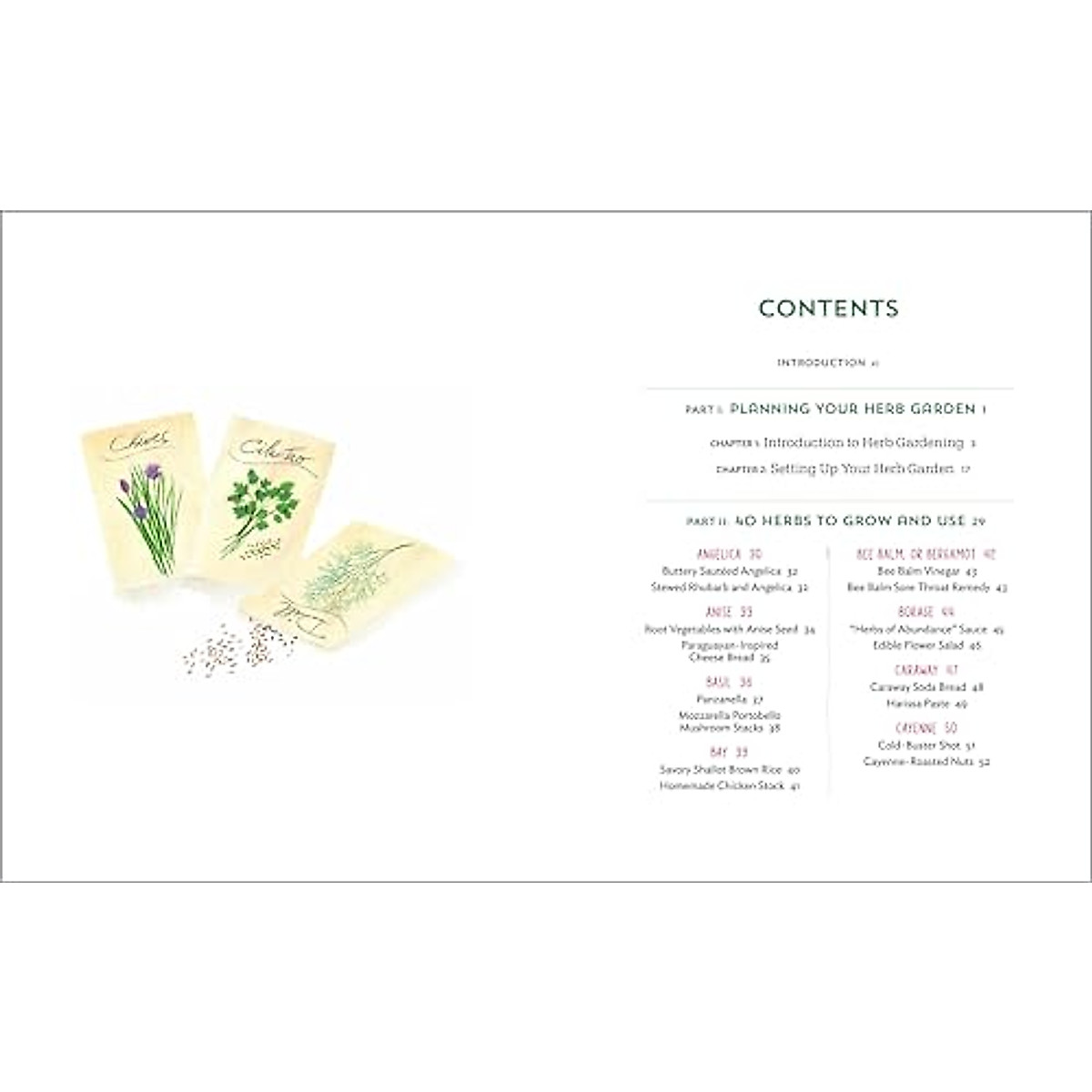 Herb Gardening for Beginners: A Simple Guide to Growing & Using Culinary and Medicinal Herbs at Home