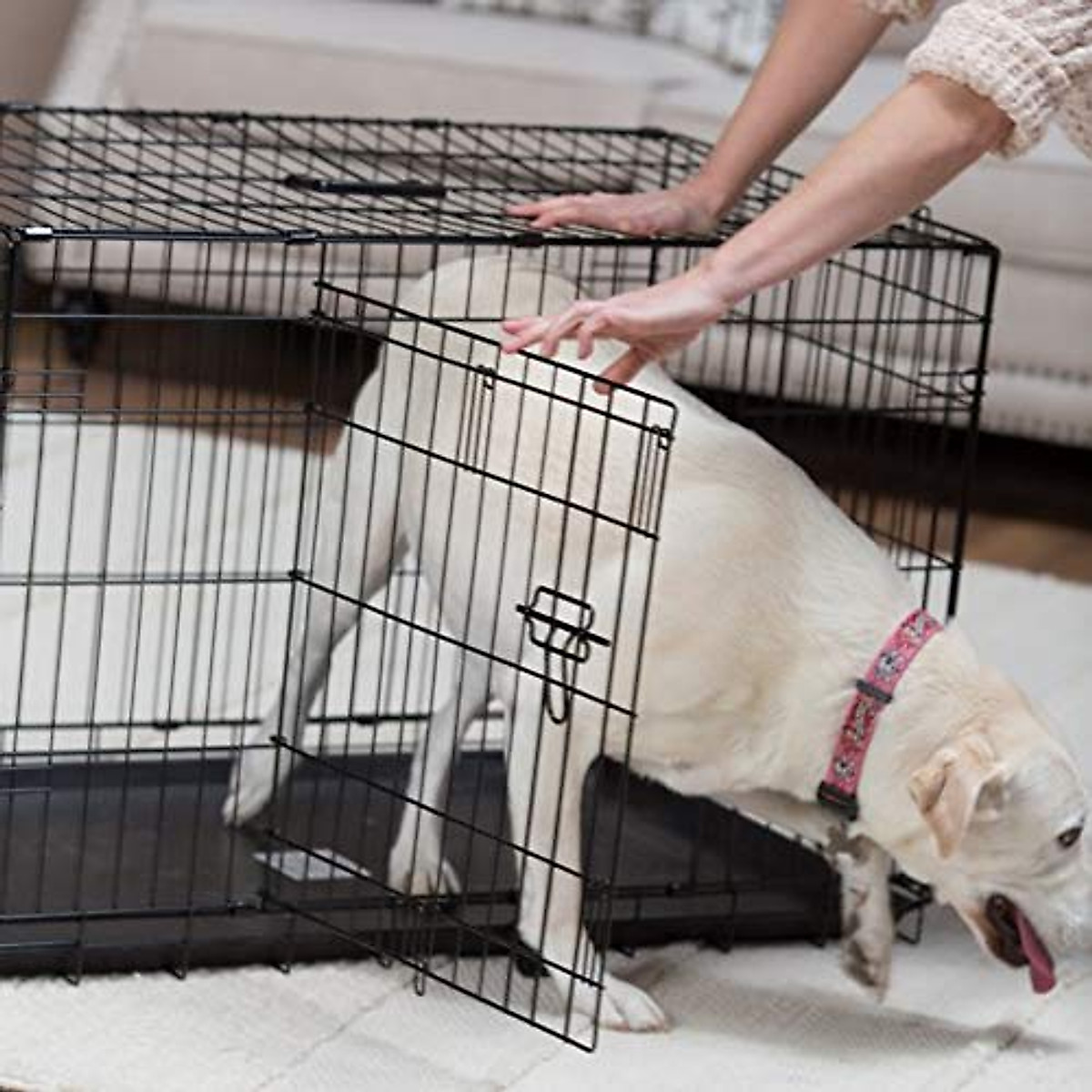 Precision Pet Products Two Door Provalue Wire Dog Crate, 30 Inch, For Pets 30-50 lbs, With 5-Point Locking System