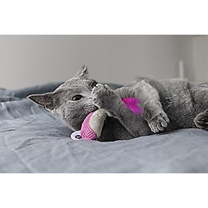 Petstages Dental Shrimpies Catnip Cat Chew Toy - 2 Pack