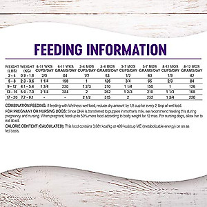 Wellness Complete Health Small Breed Dry Dog Food with Grains, Natural Ingredients, Made in USA with Real Turkey, For Dogs Up to 25 lbs. (Puppy, Turkey, Salmon & Oatmeal, 4-Pound Bag)