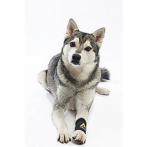 AGON® Dog Canine Front Leg Brace Paw Compression Wraps with Protects Wounds Brace Heals and Prevents Injuries and Sprains Helps with Loss of Stability Caused by Arthritis (Small/Medium)