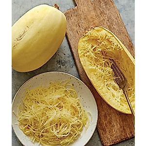Burpee Vegetable Spaghetti Winter Squash Seeds 75 seeds