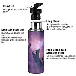 Yasala Water Bottle Galaxy Cat Butterfly Coffee Thermos Stainless Steel Insulated Beverage Container 20 oz with Straw Lid BPA-Free for Sport, Travel, Camping, Back to School