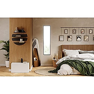 Umbra Solis Wall Shelves