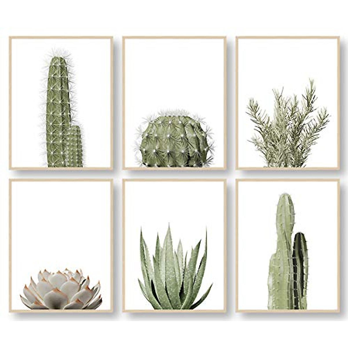 Botanical Plant Wall Art Prints, Cactus Wall Art, Minimalist Wall Art, Boho Wall Decor, Plant Wall Decor, Green Leaves Eucalyptus Pictures Posters, Bathroom Wall Decor, Kitchen Wall Decor (Set of 6, 8X10in, Unframed)