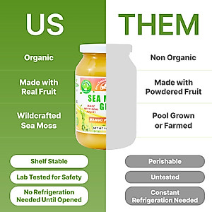 EverSmith Organics - Wildcrafted Irish Sea Moss Gel | Made in USA | Rich in Vitamins & Minerals | Sea Moss Gel Organic Raw | Nutritional Supplement | Mango Pineapple (16 oz)