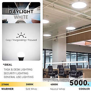 Niuxpkus LED Light Bulbs A19 Daylight - 100 Watt Equivalent Light Bulb 5000K 1200 Lumens Bright White Light Bulbs Standard E26 Edison for Home Garage Office 12W, Non Dimmable, 6-Pack