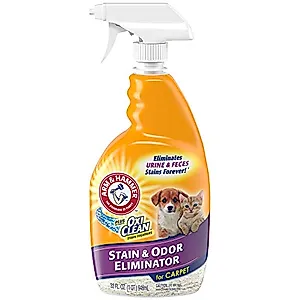 Arm & Hammer Pet Stain and Odor Eliminator, 32 Fl Oz (Pack of 2)