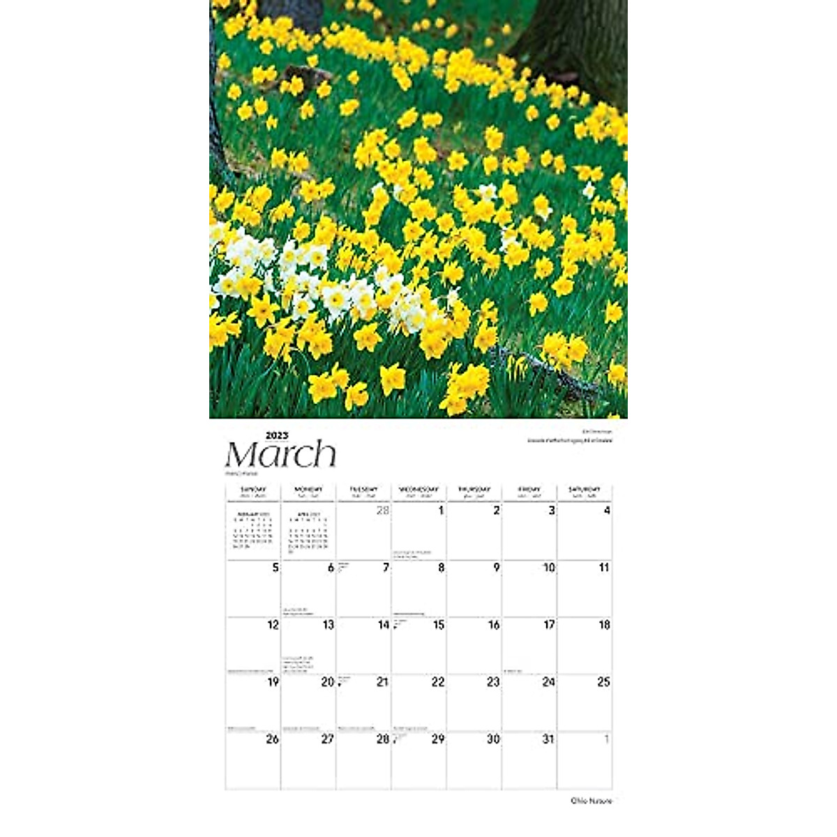 Ohio Nature | 2023 12 x 24 Inch Monthly Square Wall Calendar | Foil Stamped Cover | BrownTrout | USA United States of America Midwest State Nature