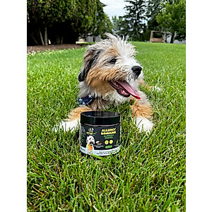 Googipet Dog Allergy Chews -Dog Allergy Relief & Itchy Skin Relief -Dog Skin & Coat Supplement +Bee Pollen, Colostrum for Dogs, Coconut Oil, Probiotics, & Omega 3 Fish Oil for Dogs Itching Skin Relief