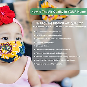 (2) MD1-0022 True HEPA Filter with (4) MD1-0023 Activated Carbon Pre-filter, Compatible with Vornado Air Purifier Model AC300, AC350, AC500, AC550, PCO200, PCO300, PCO375DC, PCO500, PCO575DC