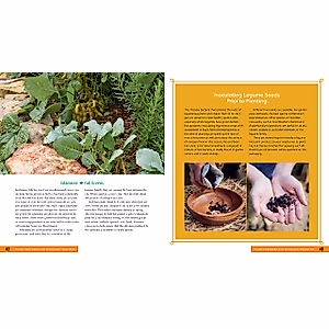 Plant Partners: Science-Based Companion Planting Strategies for the Vegetable Garden