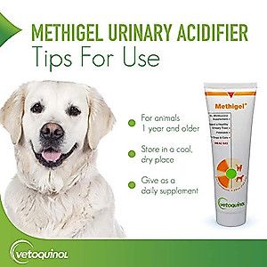 Vetoquinol Methigel Urinary Acidifier to Promote Urinary and Bladder Health for Dogs & Cats