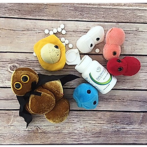 Daily Dental Care Fresh Mint Dental Mints - A Dental prebiotic Smart Mint - superpowering Good Oral Bacteria to Balance The Oral microbiome for Dental Health - 90ct