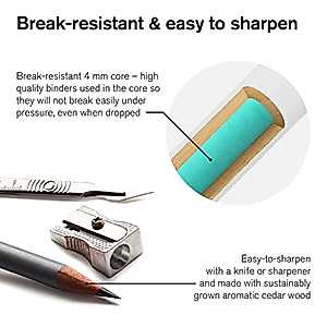 Winsor & Newton Studio Collection Artist Pencils, Watercolor Pencils, Set of 24