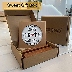 QiCHo Inspirational Sign For Desk, Fun Office Decorations, Gifts For Cat Lovers, Novelty Birthday Gifts, Office Positive Plaque, Xmas Present - I Work Hard So My Cat Can Have A Better Life, With Wooden Stand