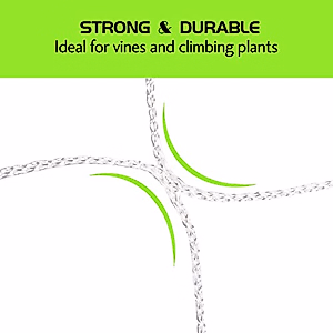 YXNBIIN Heavy Duty Trellis Netting Bulk Roll - 5ft × 350ft Soft Mesh Support Garden Netting for Climbing Plants, Grape Racks, Cucumbers, Melons, Vine Vegetables, Fruits, and Flowers