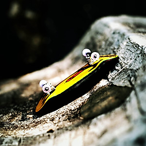 NOAHWOOD Fingerboards Crown LOGO Wheels iii White (ABEC-5 Bearing) + (Gift Prince Trucks) (Gift 34mm Silvery Hanger + White Baseplate)