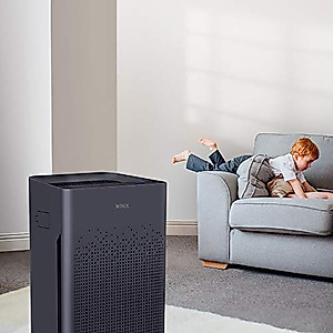 Winix AM80 True HEPA Air Purifier with Washable Advanced Odor Control (AOC) Carbon Filter, 360sq ft Room Capacity, Dark Grey, Large