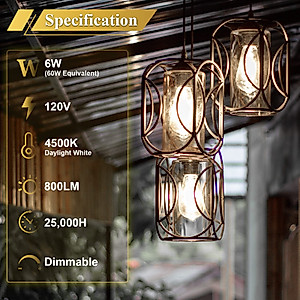 DiCUNO LED Edison Bulb 60 Watt Equivalent, Daylight White 4500K, Dimmable Edison Bulbs ST64, Antique LED Filament Bulb for Kitchen Lighting, 800 LM, Clear Glass, Pack of 4