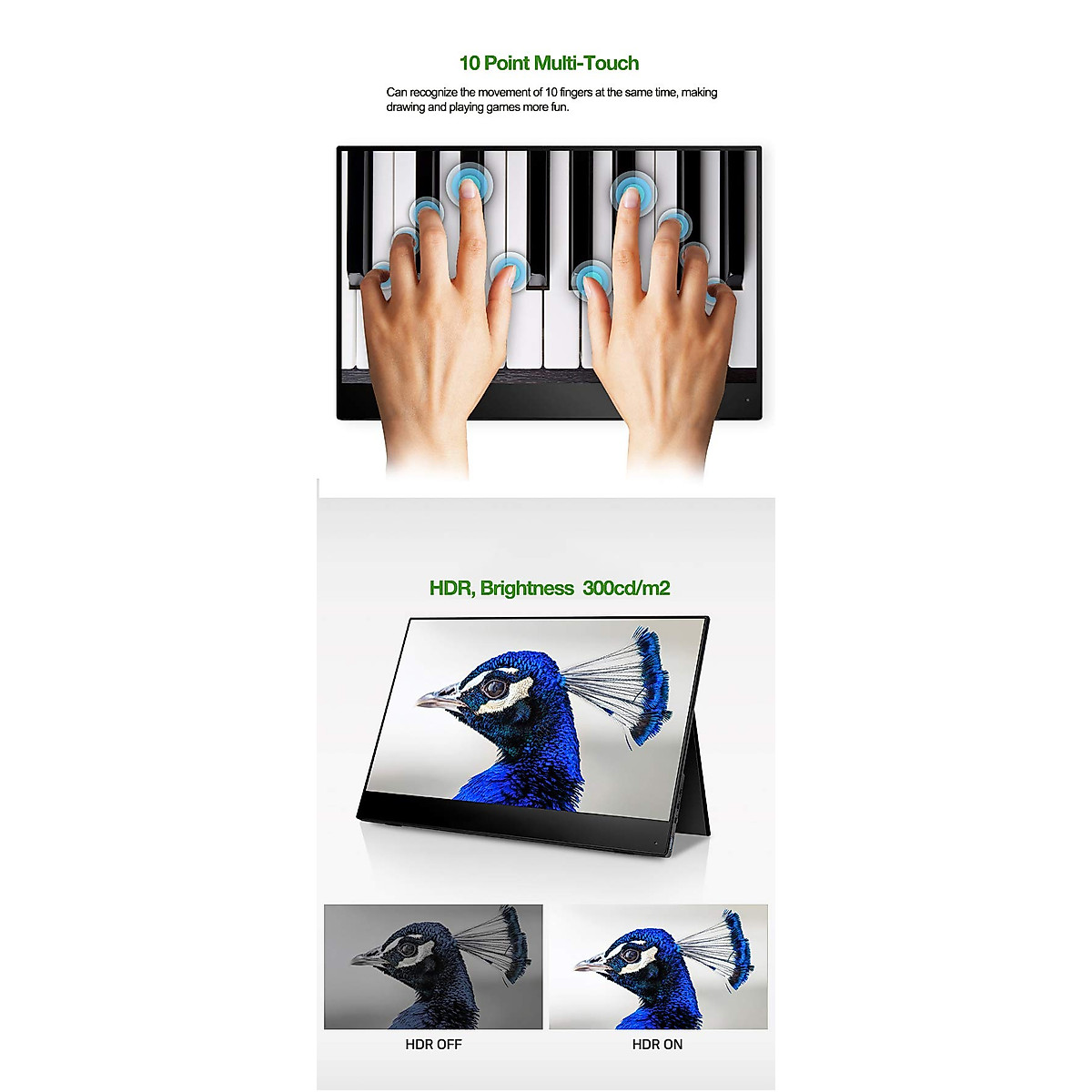 EVER LUSTRE 15.6 Inch Portable Gaming Monitor 4K Touch Screen 3840x2160 UHD Build-in Battery Display Screen for PS4, Xbox, Switch, Smart Phone, Laptop (Battery Monitor+case)