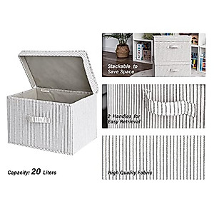 StorageWorks 45L Extra Large Fabric Storage Bins with Fabric Handles 2 pack, Decorative Storage Boxes, Storage Basket With Lid And Handles 2 pack