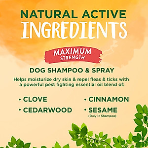 Natural Flea & Tick Max Strength Shampoo & Bedding Spray Bundle | Flea & Tick Prevention | Dog Shampoo | Flea & Tick Treatment Protects & Repels | Made in USA