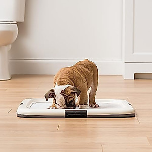 IRIS USA 23.0" x 22.75" Square Pee Pad Holder, Pet Puppy Small Medium Dog Incontinence Potty Training Pad Tray, Dark Gray