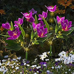 ALANAS Outdoor Solar Decorate Light, 2 Pack Dendrobium Orchid Garden Stake Lights with 7 Flowers, Waterproof LED Solar Powered Lights for Patio, Pathway, Courtyard, Garden Law.