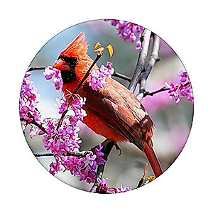 Cute Red Cardinal Bird Floral Design On Foliage Background PopSockets Swappable PopGrip