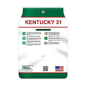Premium Oregon Grown Kentucky 31 Tall Fescue Grass Seed (5 LBS)